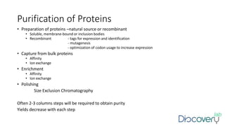 Protein purification | PPT