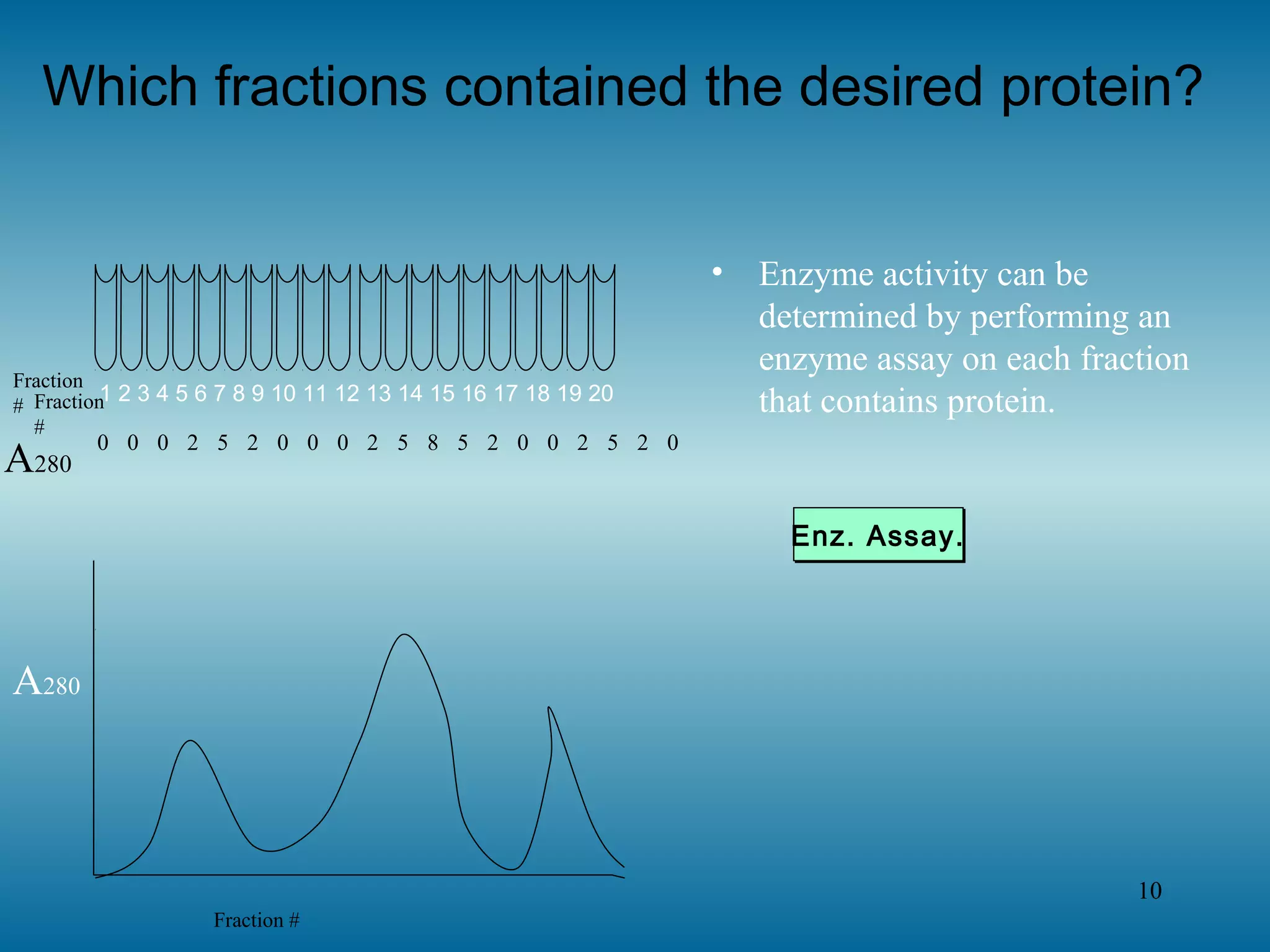 Protein Purification | PPT