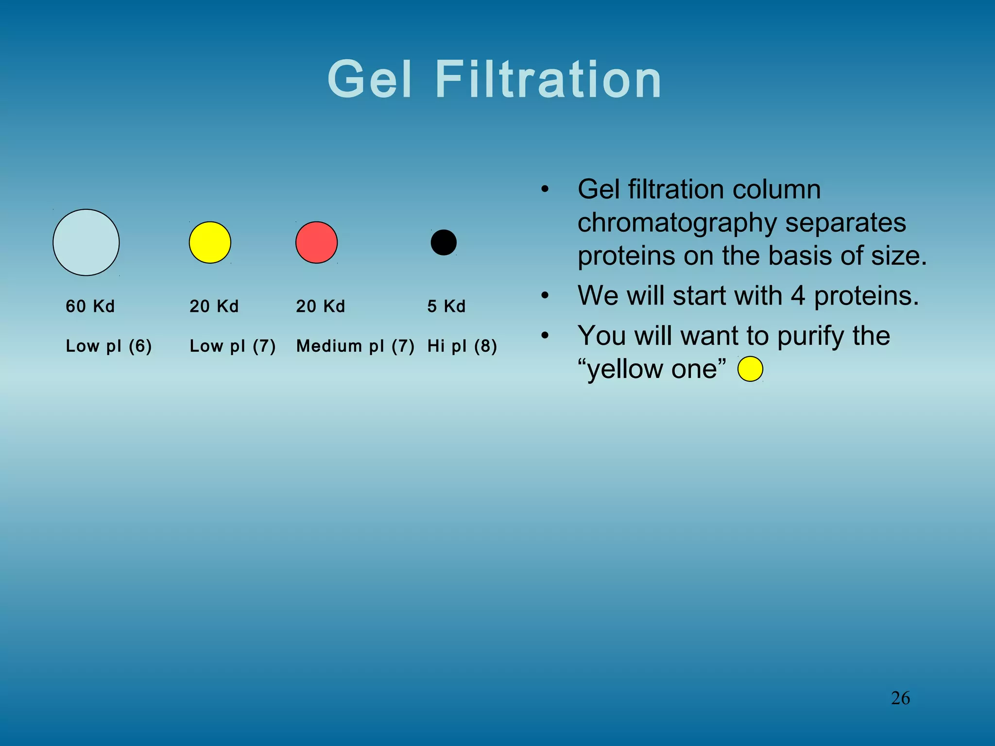 Protein Purification | PPT