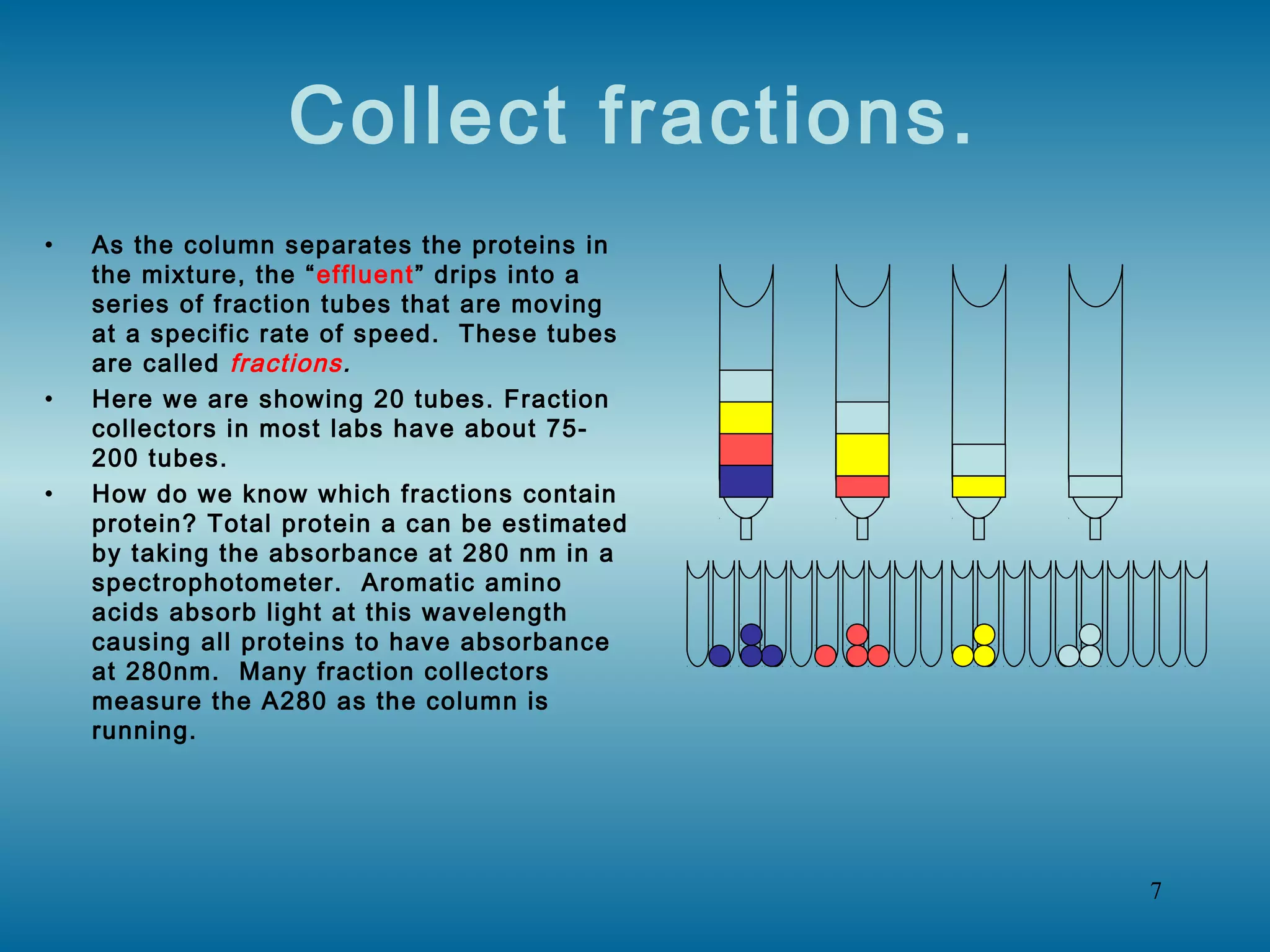 Protein Purification | PPT