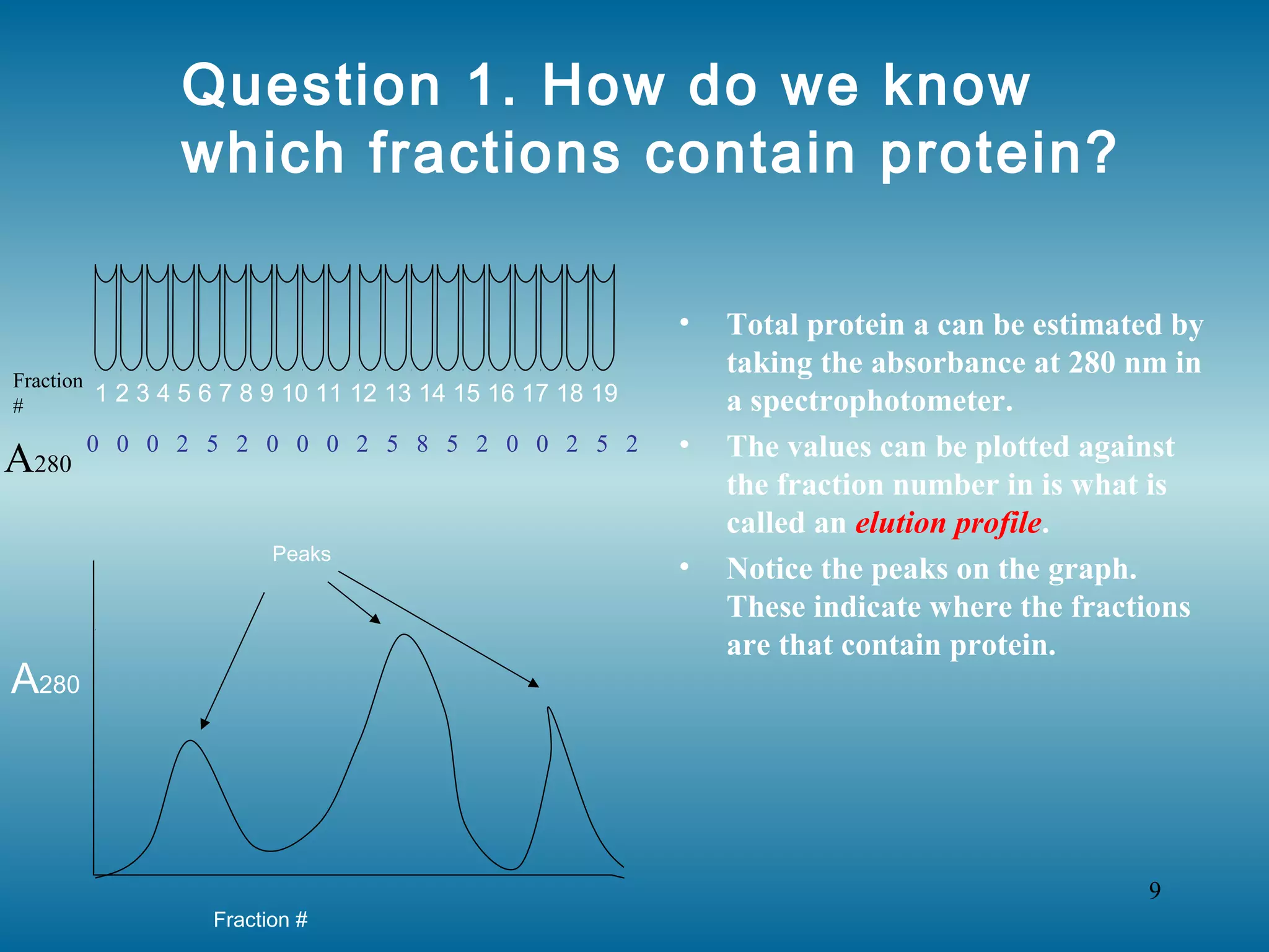 Protein Purification | PPT