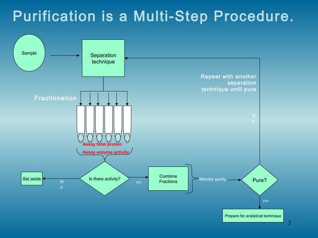 Protein Purification | PPT