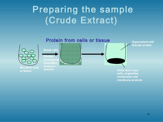 Protein Purification
