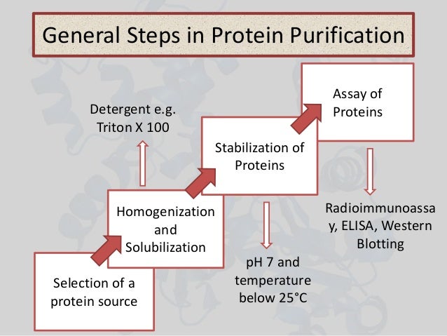 Protein purification techniques