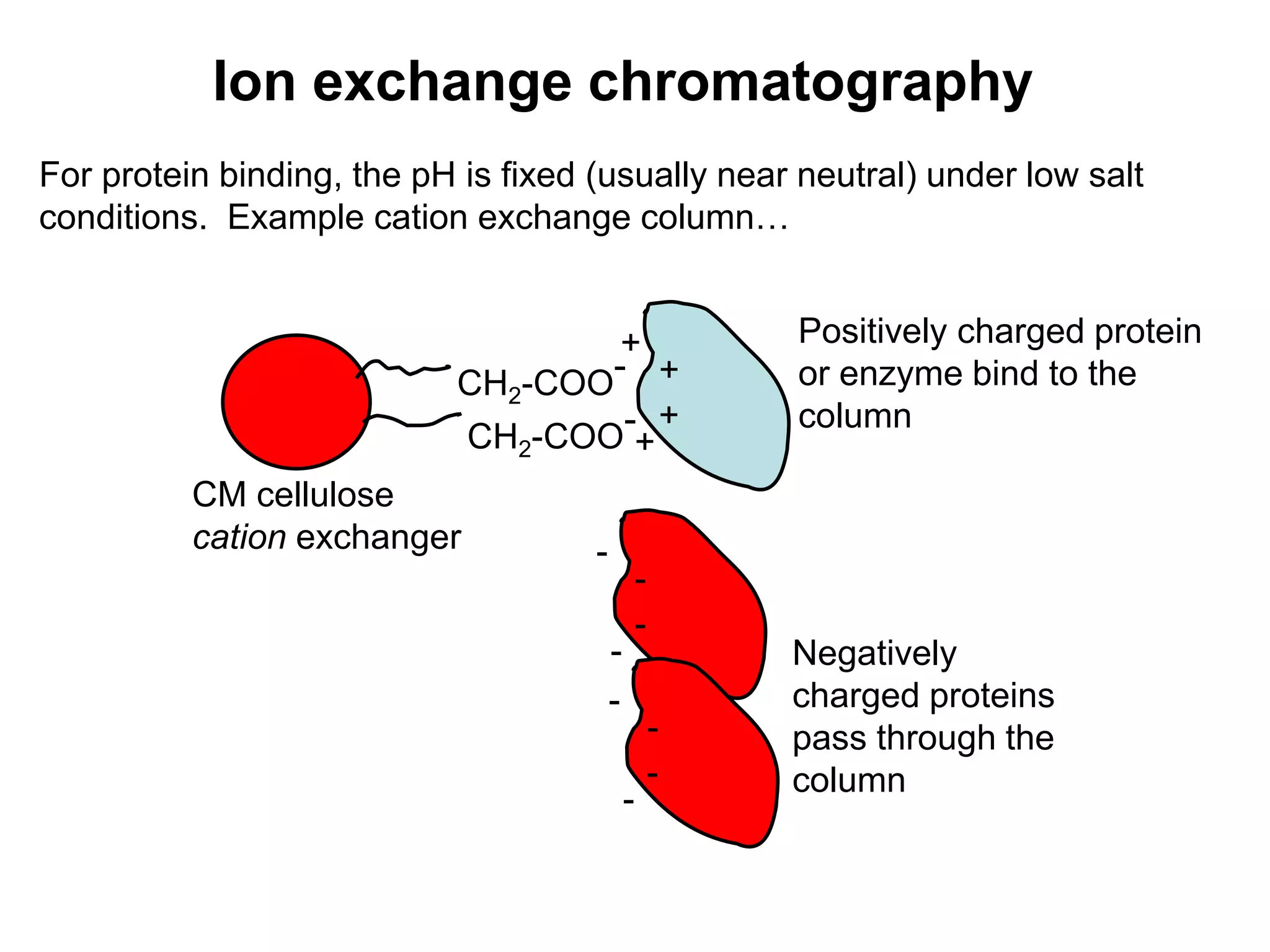 Protein purification techniques | PPT