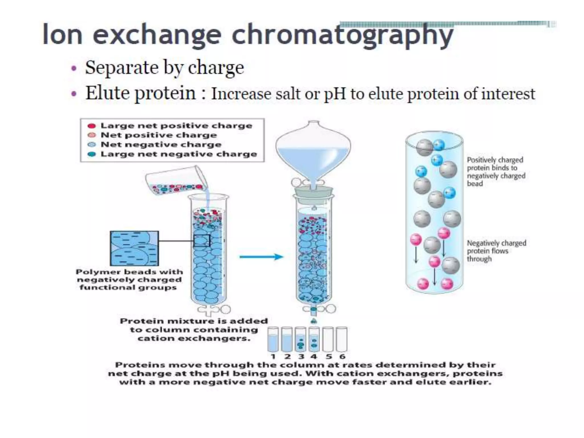Protein purification techniques | PPT