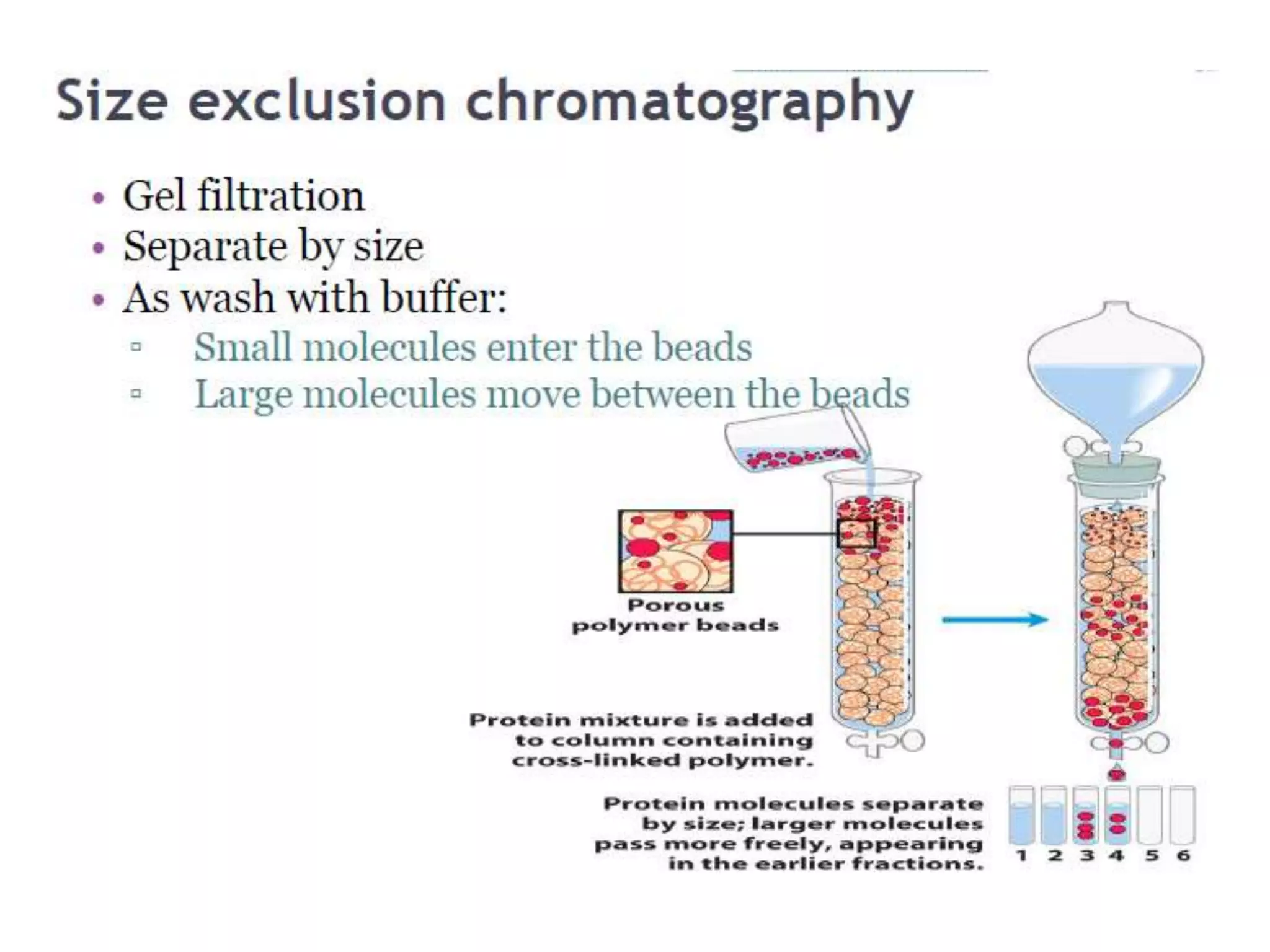 Protein purification techniques | PPT