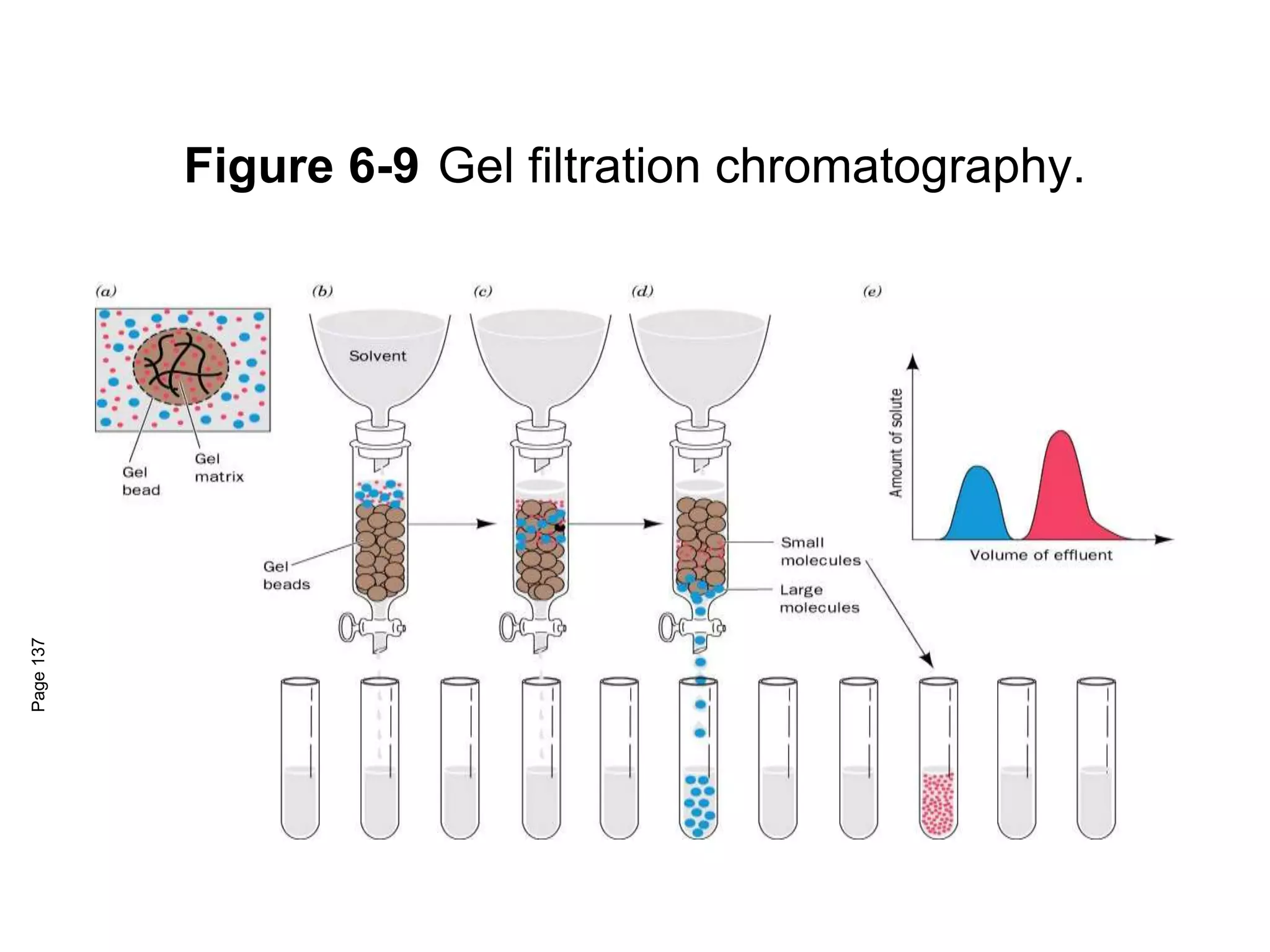 Protein purification techniques | PPT
