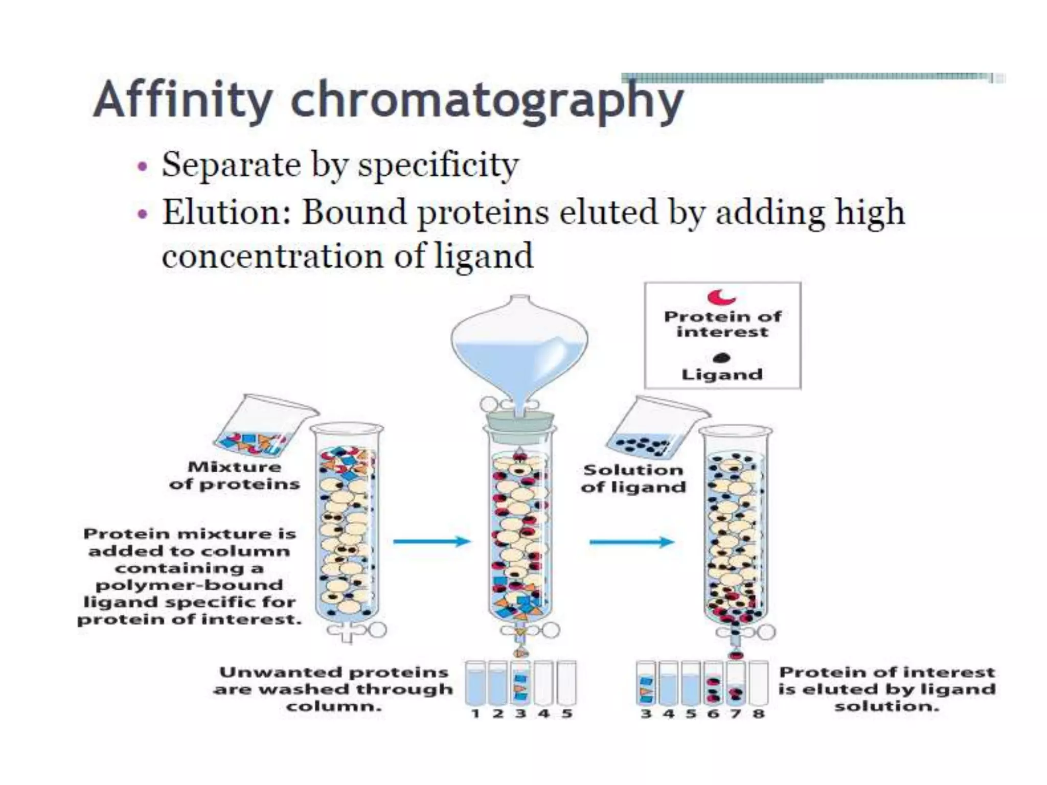 Protein purification techniques | PPT