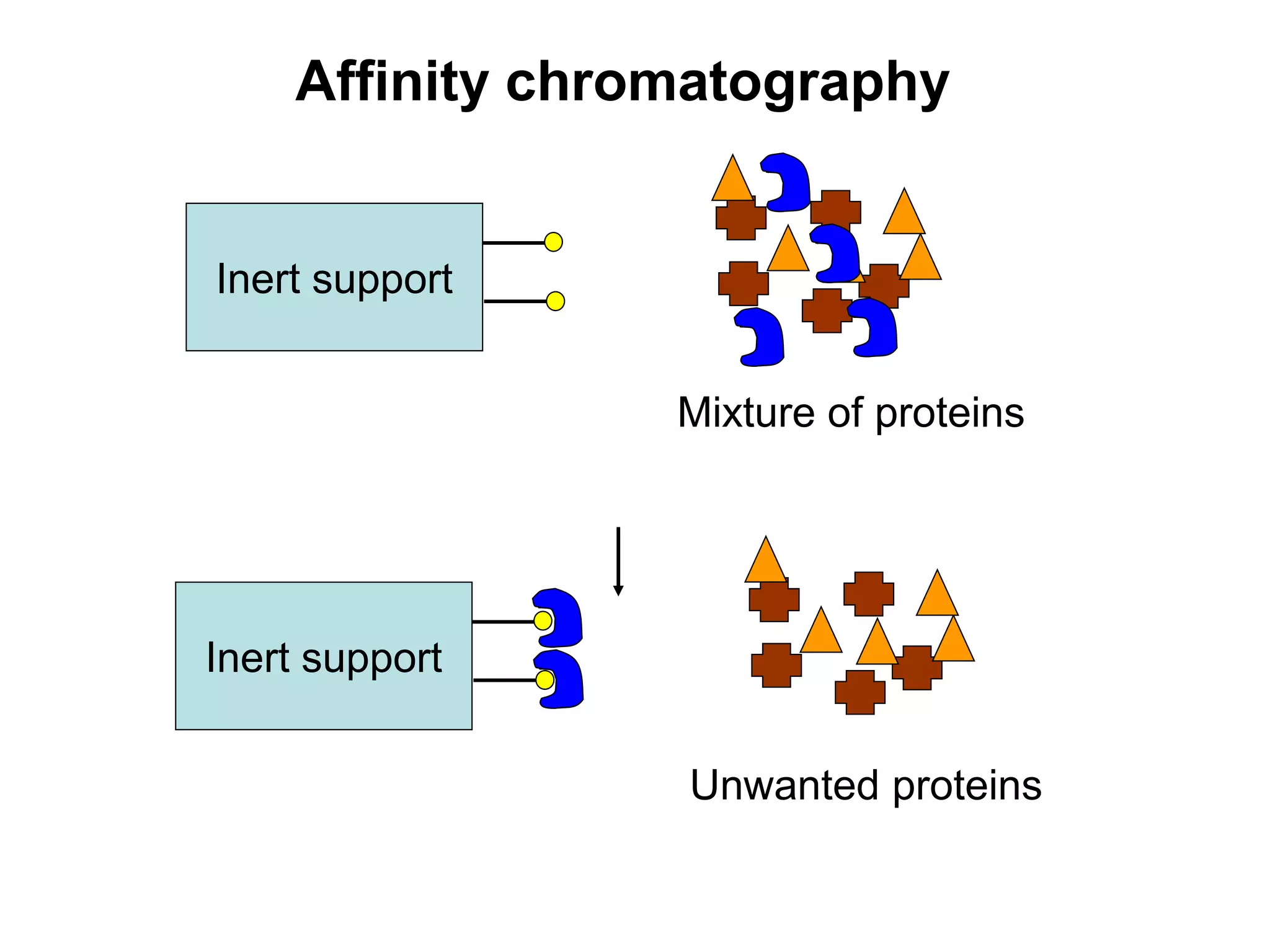 Protein purification techniques | PPT