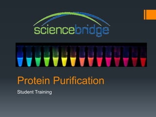 Protein Purification Slides | PPTX