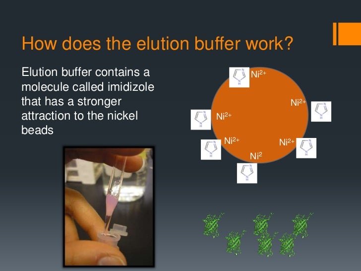 Protein Purification Slides