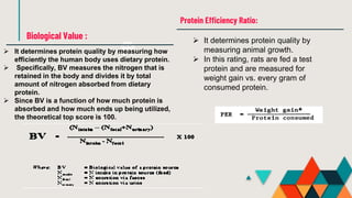 Protein quality,Assesment method,Requirement,Protien food source ...
