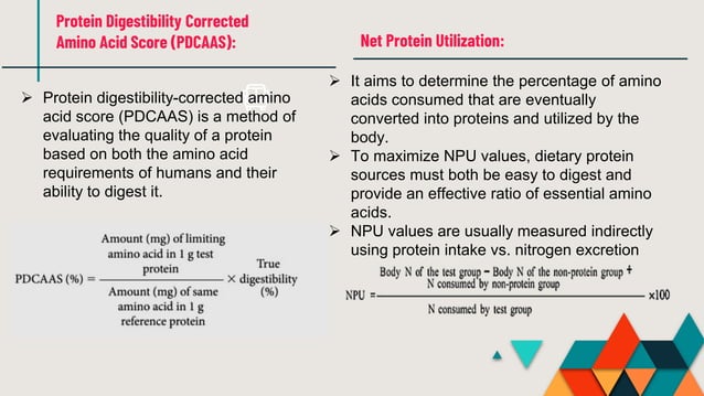 Protein quality,Assesment method,Requirement,Protien food source ...