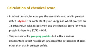 Protein quality determination in monogastric animals | PPTX