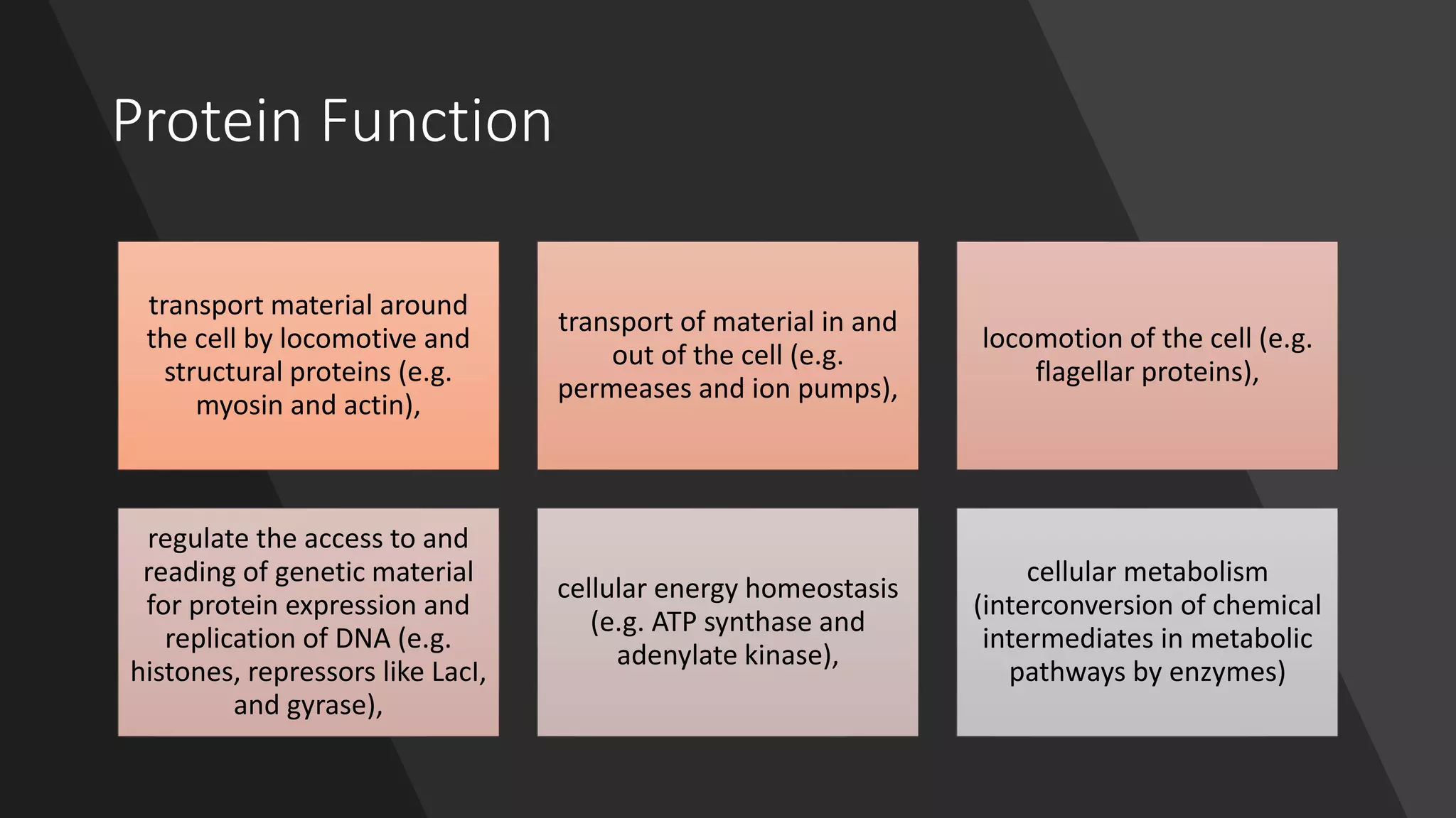 Protein Structure and Function | PPTX | Endocrine and Metabolic ...