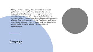 Protein Structure and Function | PPTX