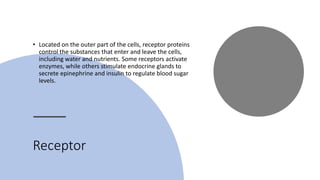 Protein Structure and Function | PPTX