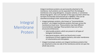 Protein Structure and Function | PPTX
