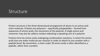 Protein Structure and Function | PPTX
