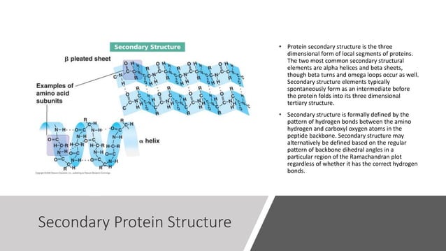 Protein Structure and Function | PPTX | Endocrine and Metabolic ...