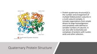 Protein Structure and Function | PPTX