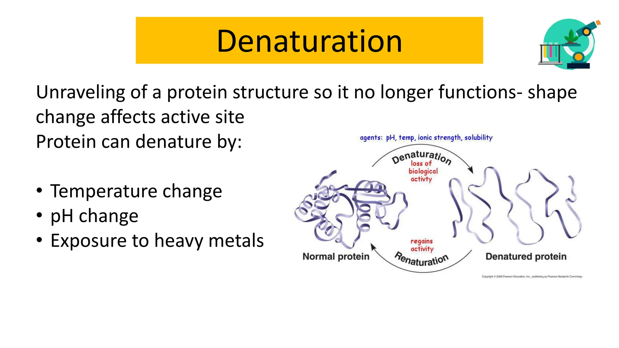 PROTEINS-1.pptx