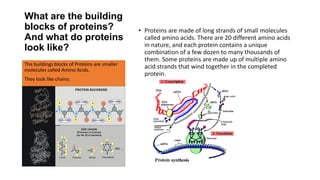 Proteins | PPTX
