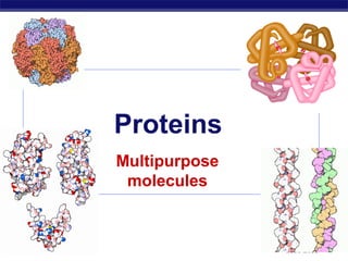 Proteins | PPT