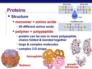 Proteins | PPT
