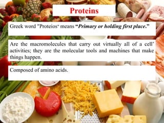 Proteins | PPTX