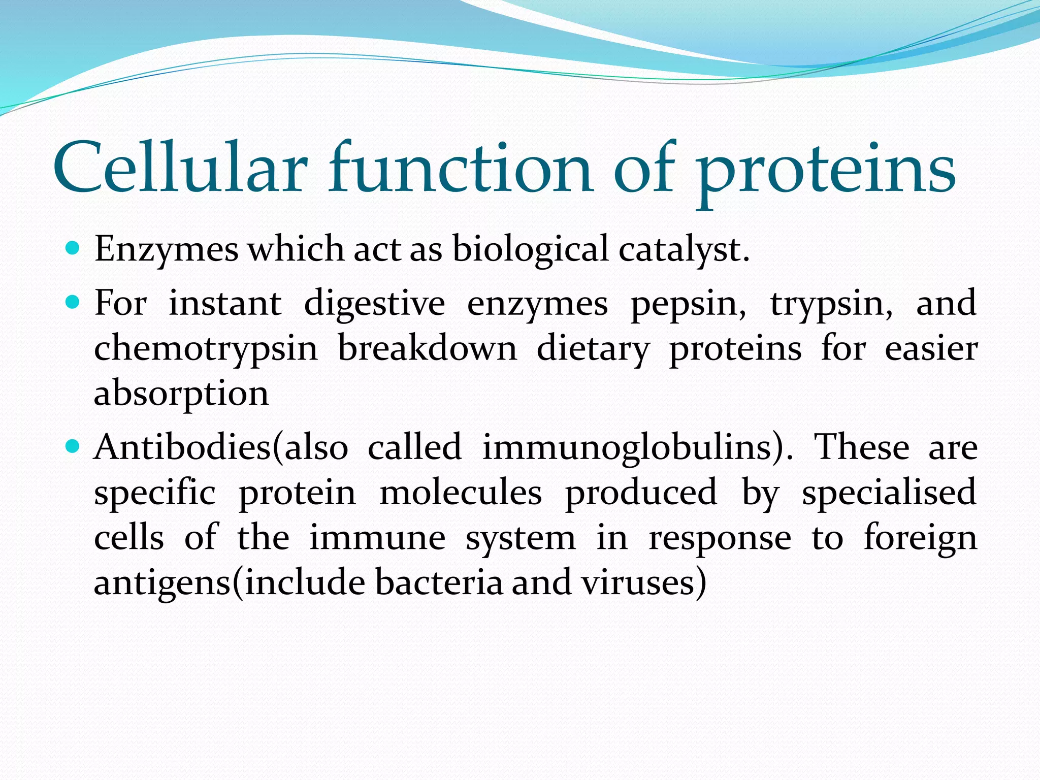 Proteins and Amino Acids | PPTX