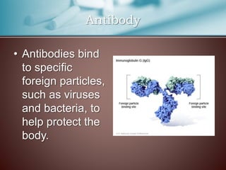 Proteins | PPTX