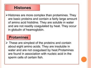 Proteins | PPT | Free Download