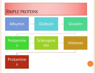 Proteins | PPT