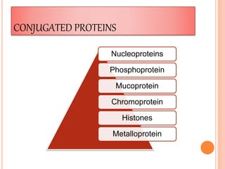 Proteins | PPT
