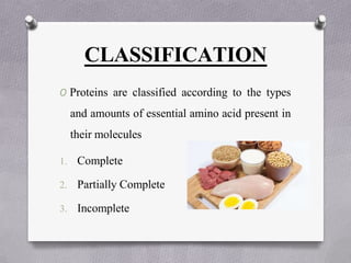 Macro-nutrients (Proteins) | PPTX