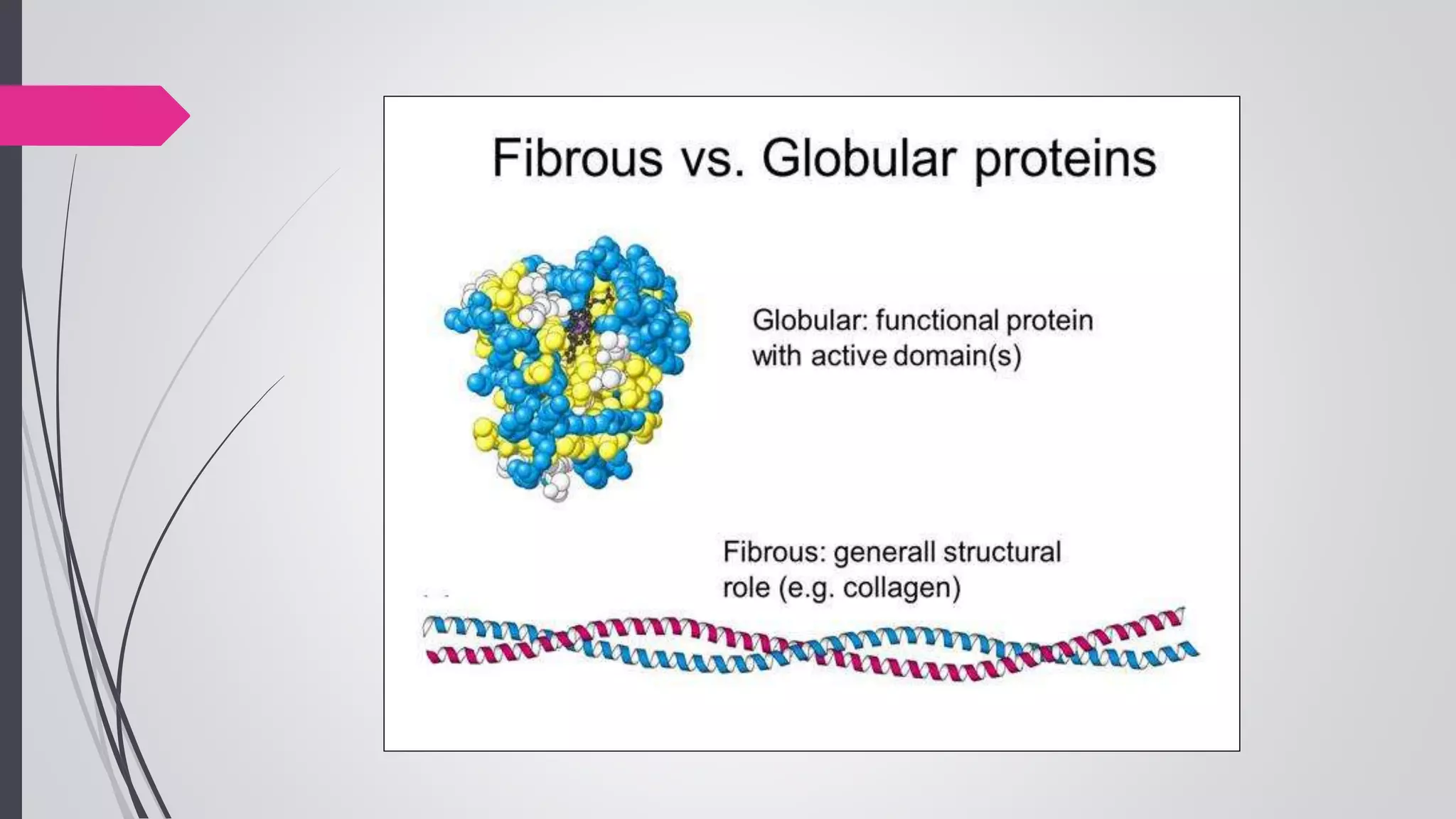 Proteins , INTRODUCTION, GOOD PROTEINS, BAD PROTEINS, STRUCTURE OF ...