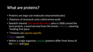 Proteins by aniqa atta | PPTX