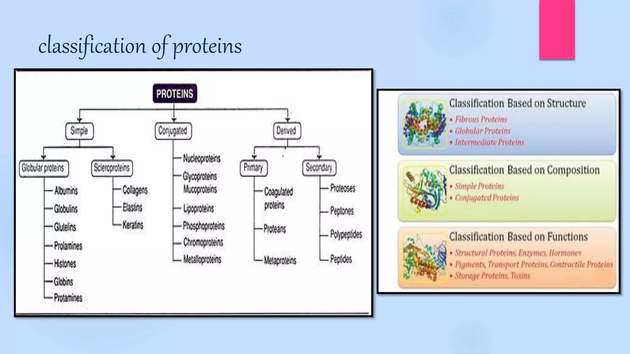 Proteins-Classification ,Structure of protein, properties and biological importance | PPTX