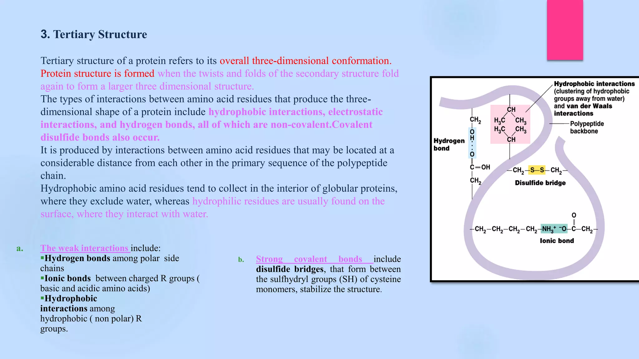 Proteins-Classification ,Structure of protein, properties and ...