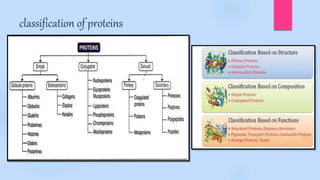 Proteins-Classification ,Structure of protein, properties and biological importance | PPTX