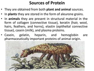 Protein- An Essential element | PPTX