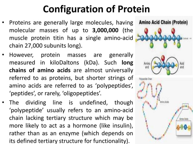 Protein- An Essential element | PPT