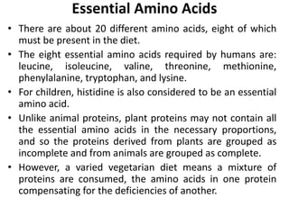 Protein- An Essential element | PPTX