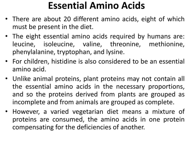 Protein- An Essential element | PPT