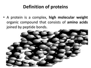 Protein- An Essential element | PPT
