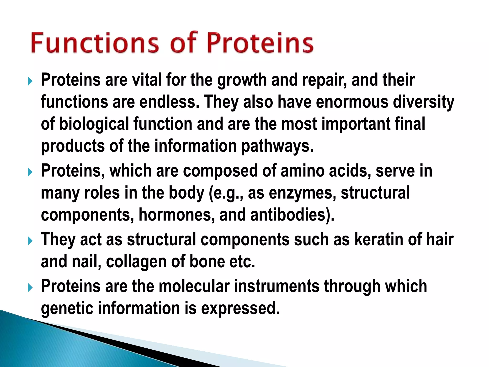 Proteins | PPTX