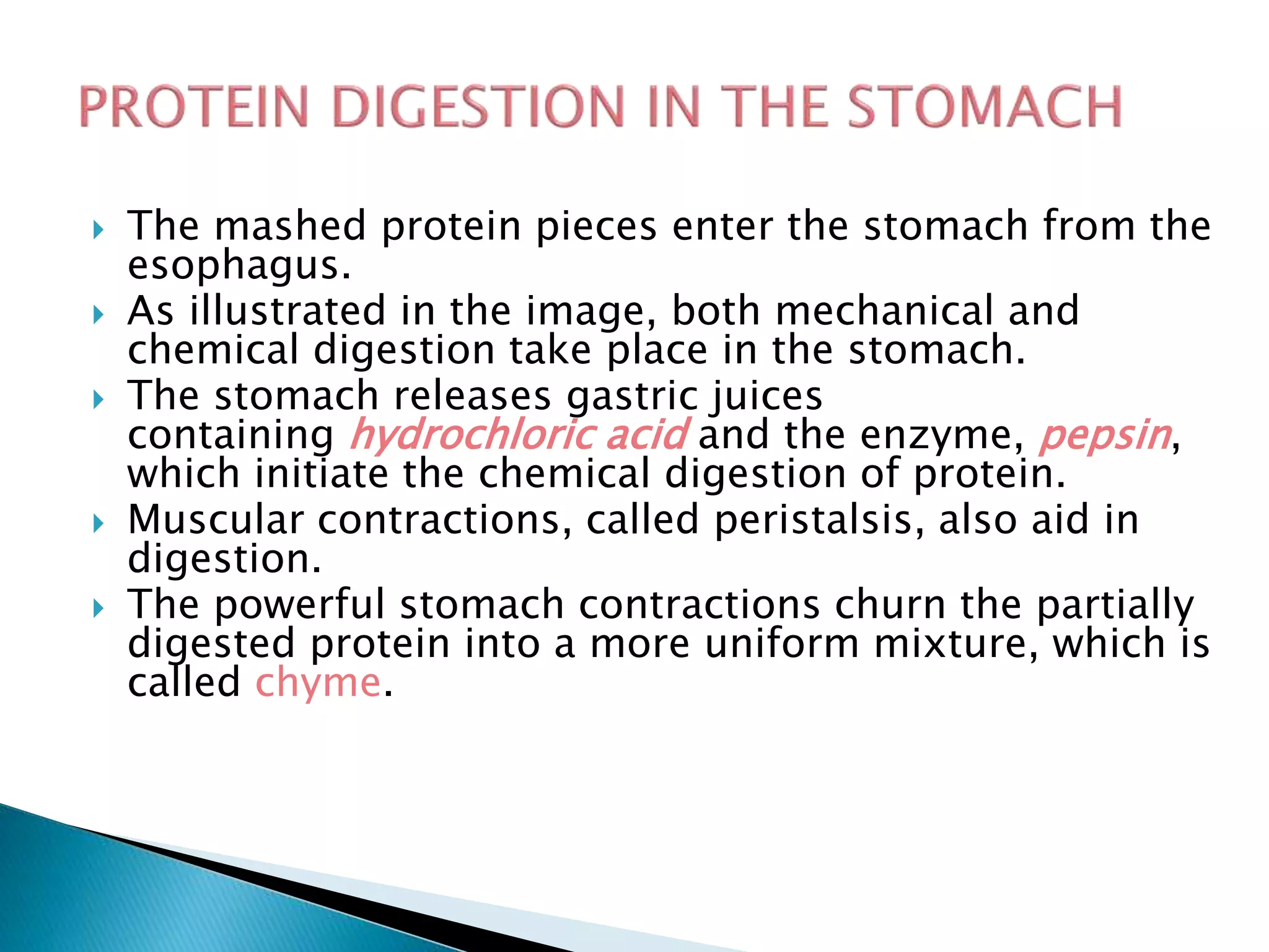 Proteins | PPTX