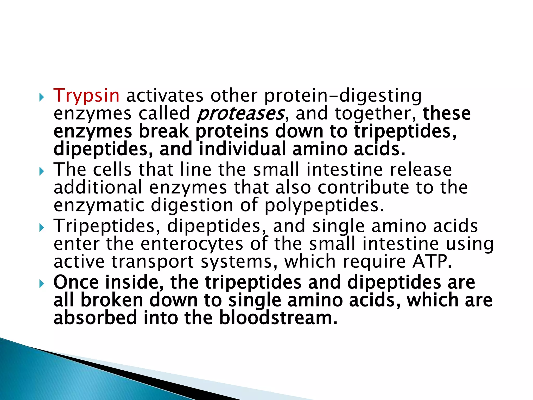 Proteins | PPTX